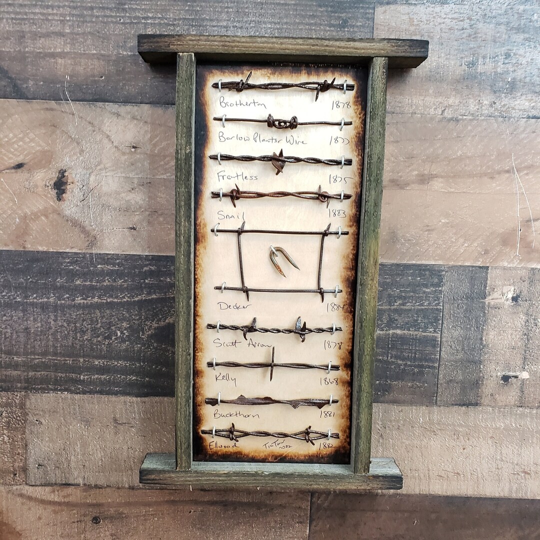 Antique Barbed Wire Display Authentic Barbwire Collection Barn Wood ...