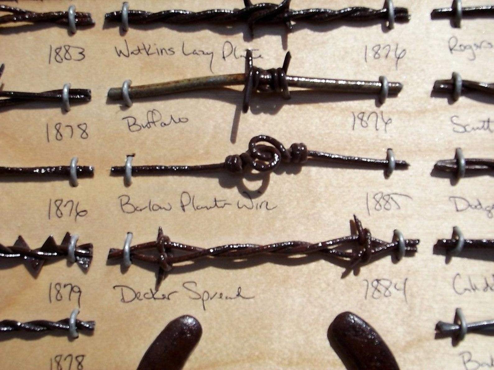 Rustic Antique Barbed Wire Display 32 Wire Framed Collection - Etsy