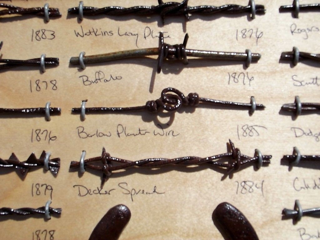 Rustic Antique Barbed Wire Display 32 Wire Framed Collection - Etsy