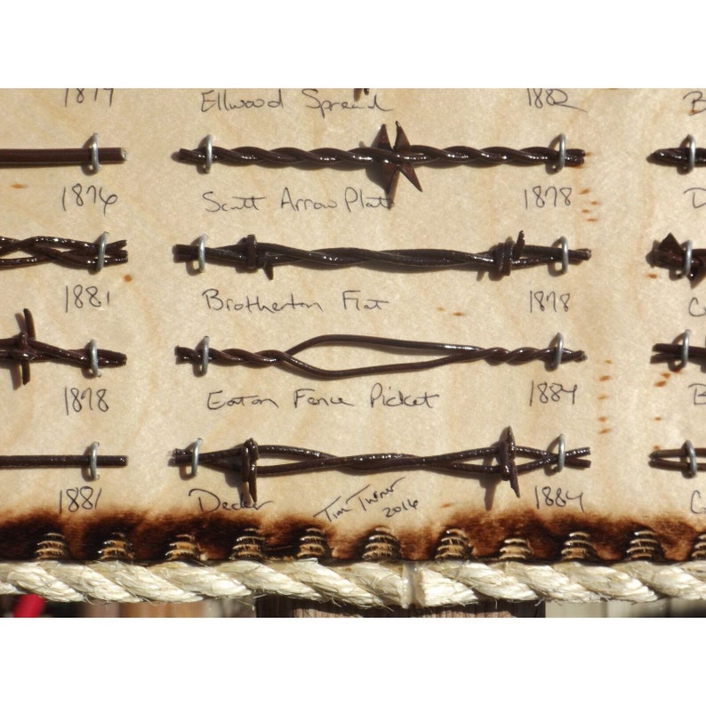 Antique Barbed Wire Display 27 Cuts Authentic Barbwire Collection - Etsy