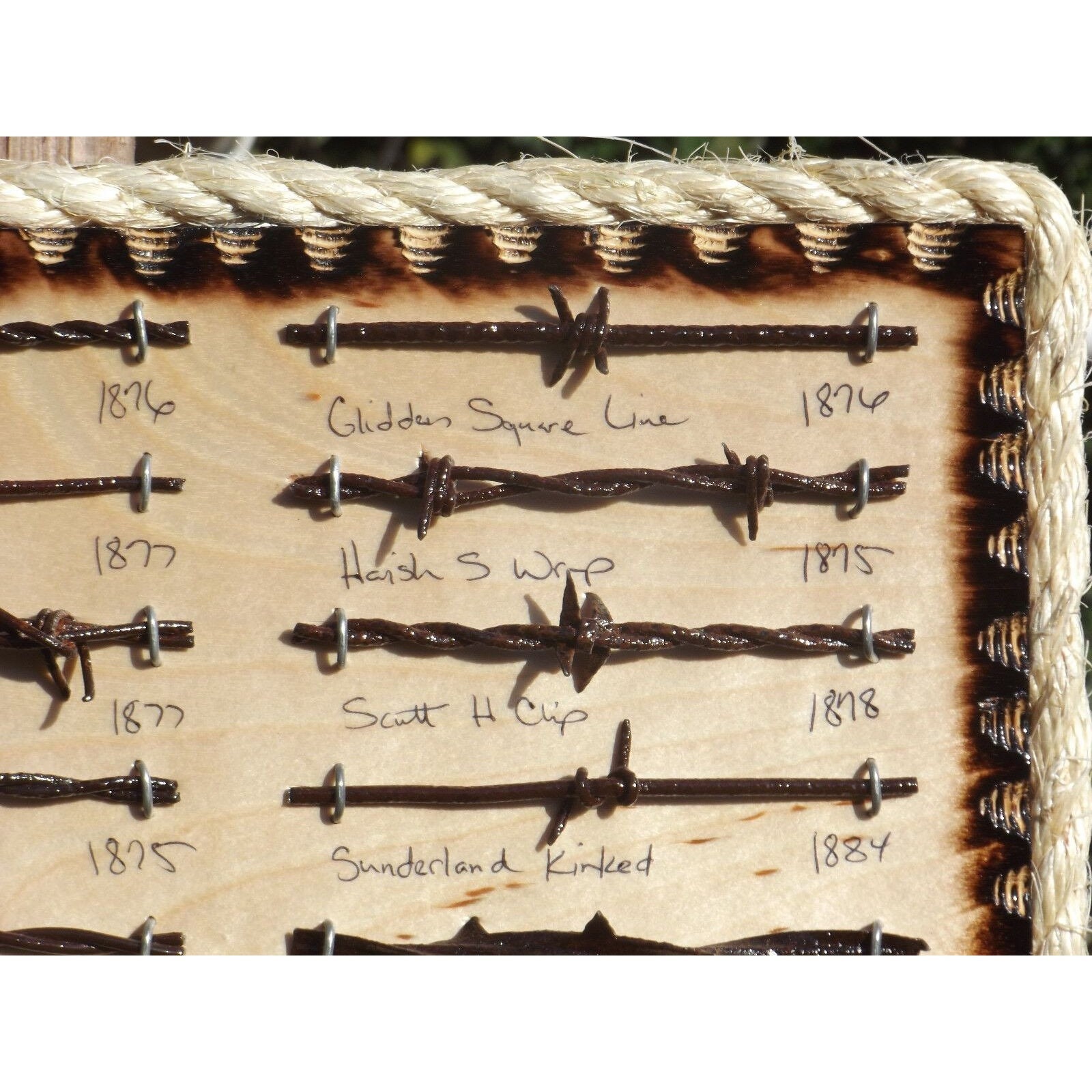 Antique Barbed Wire Display 27 Cuts Authentic Barbwire Collection - Etsy