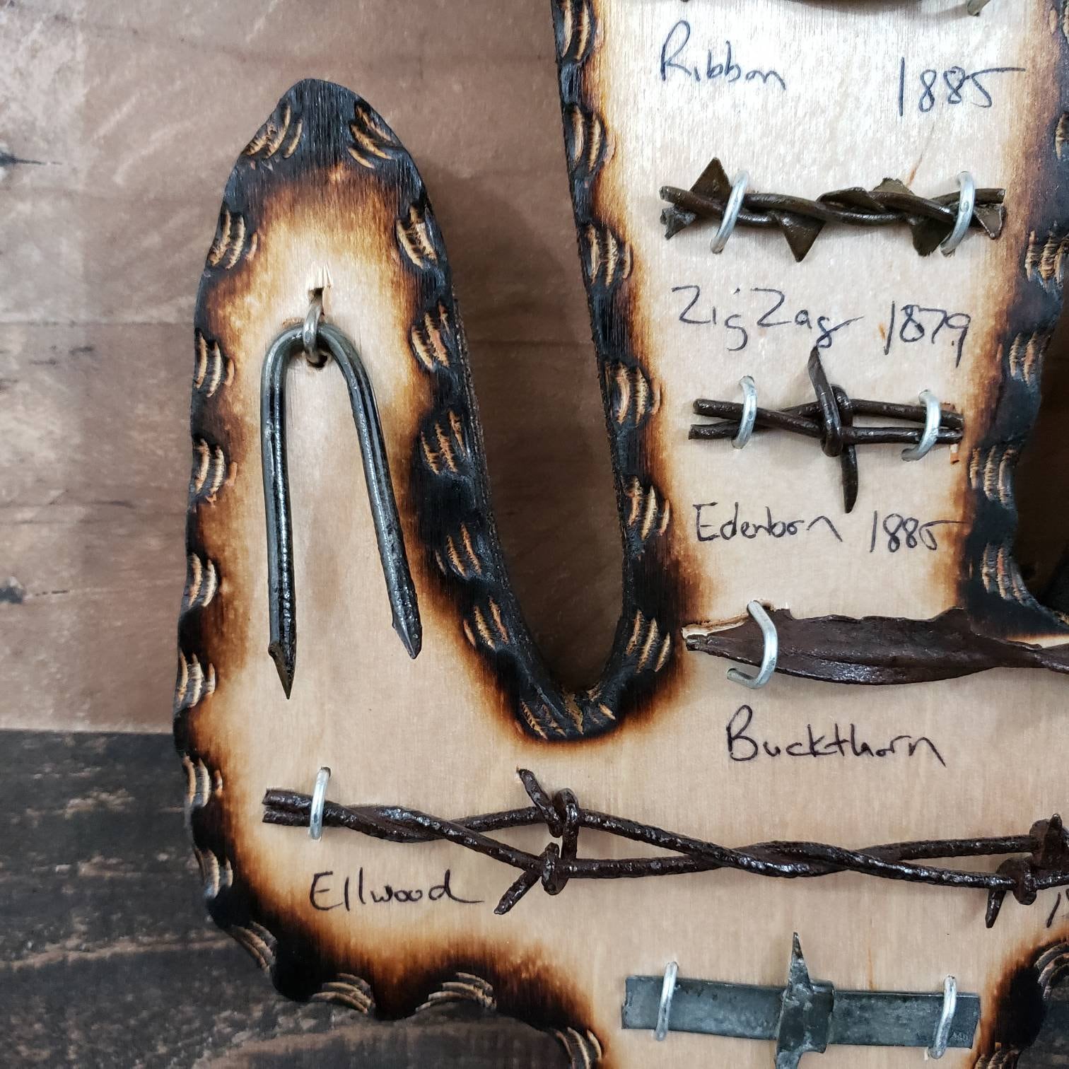 Antique Barbed Wire Display Authentic Barbwire Collection Shape of ...