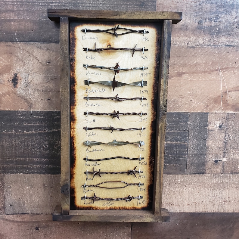Antique Barbed Wire Display Authentic Barbwire Collection Barn Wood ...