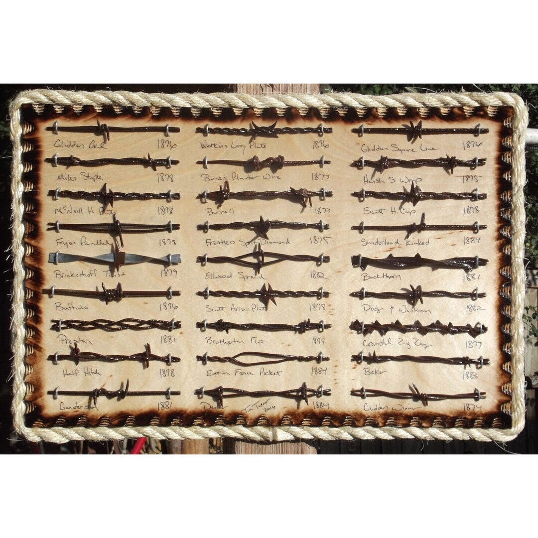 Antique Barbed Wire Display 27 Cuts Authentic Barbwire Collection - Etsy