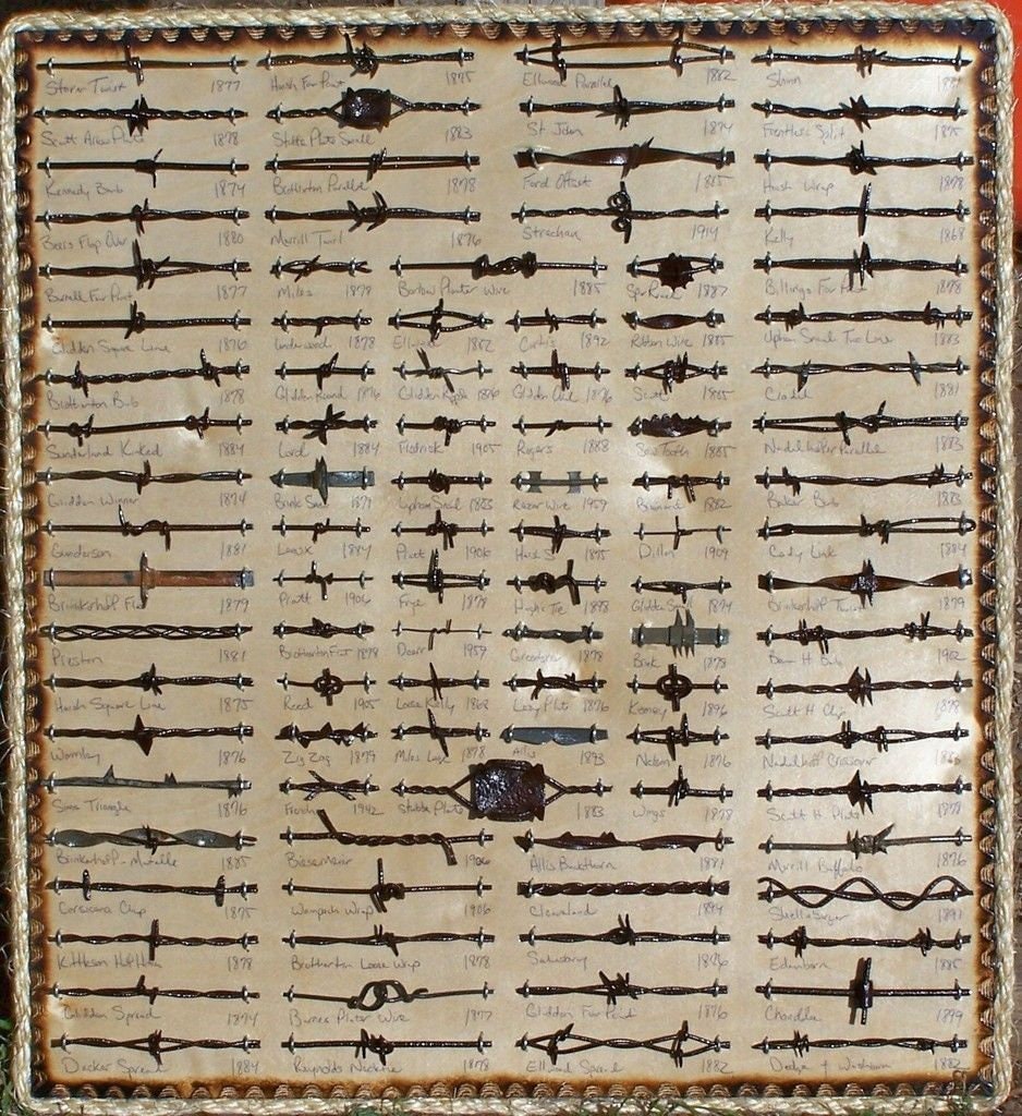 Large Antique Barbed Wire Display 100 Cut's of Authetic 1800's Barbed ...