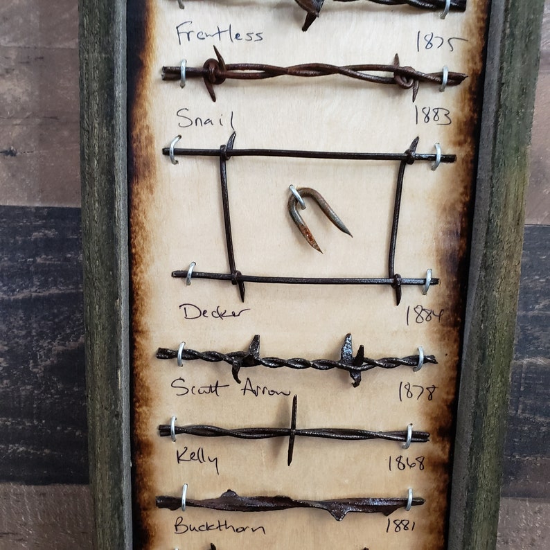 Antique Barbed Wire Display Authentic Barbwire Collection Barn Wood ...