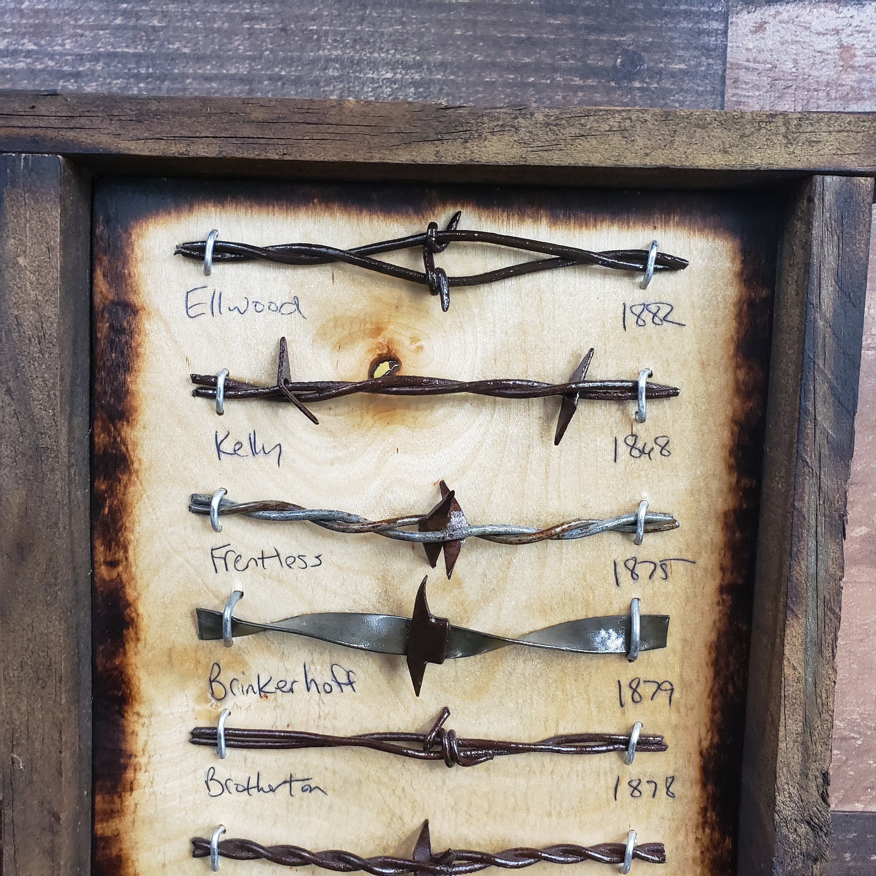 Antique Barbed Wire Display Authentic Barbwire Collection Barn Wood ...