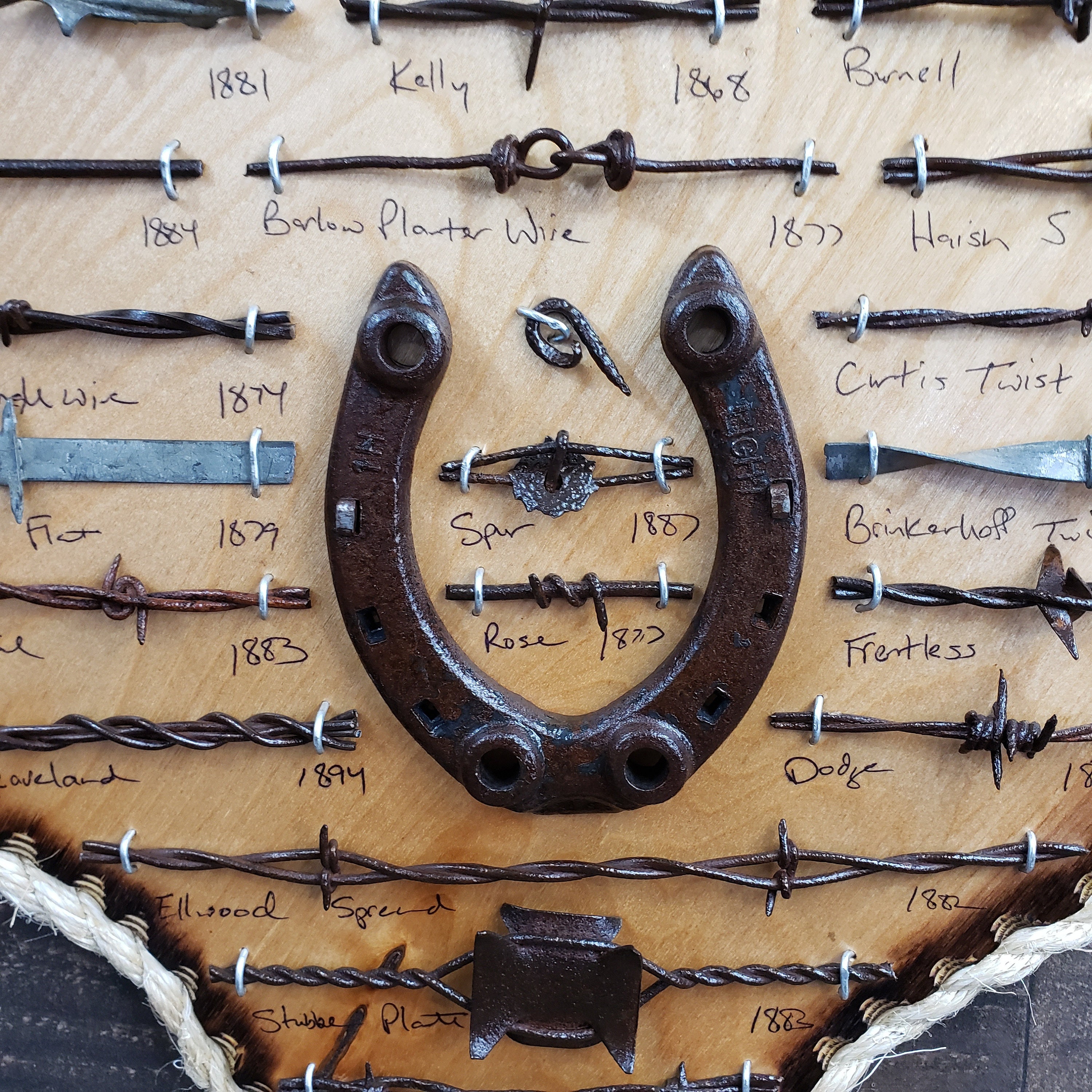 Large Antique Barbed Wire Display Authentic Barbwire Collection Texas ...