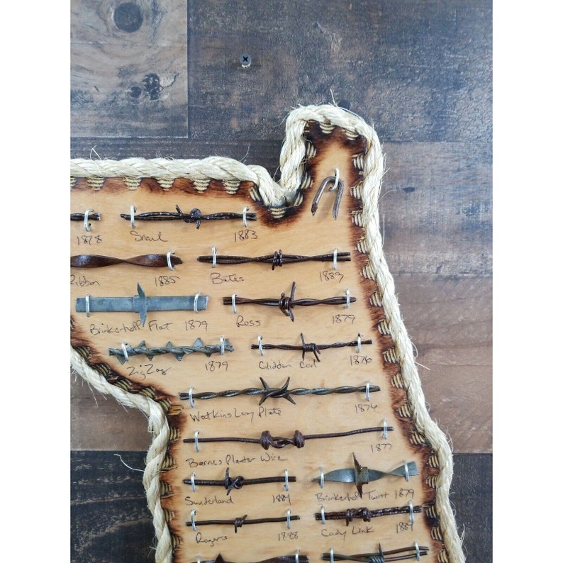 STATE OF FLORIDA Large Antique Barbed Wire Display Authentic Barbwire ...