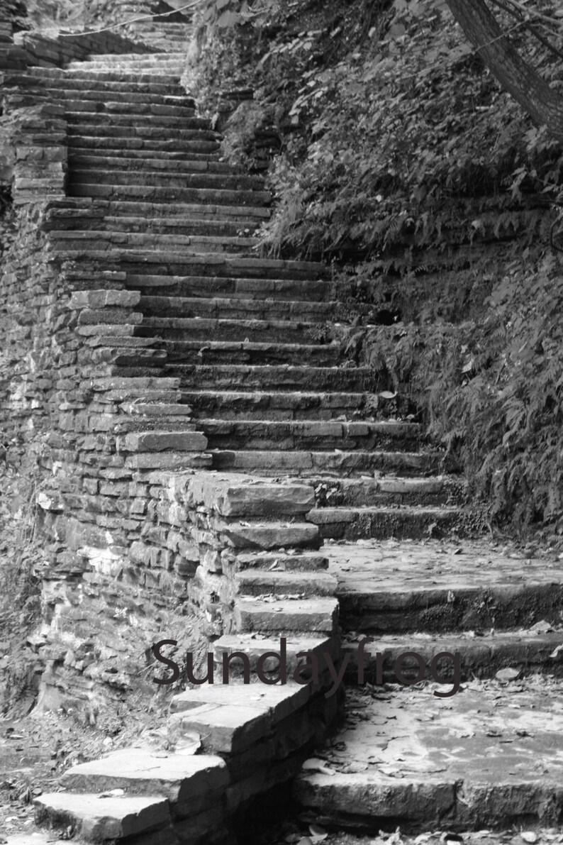 Steps Black and White - Etsy