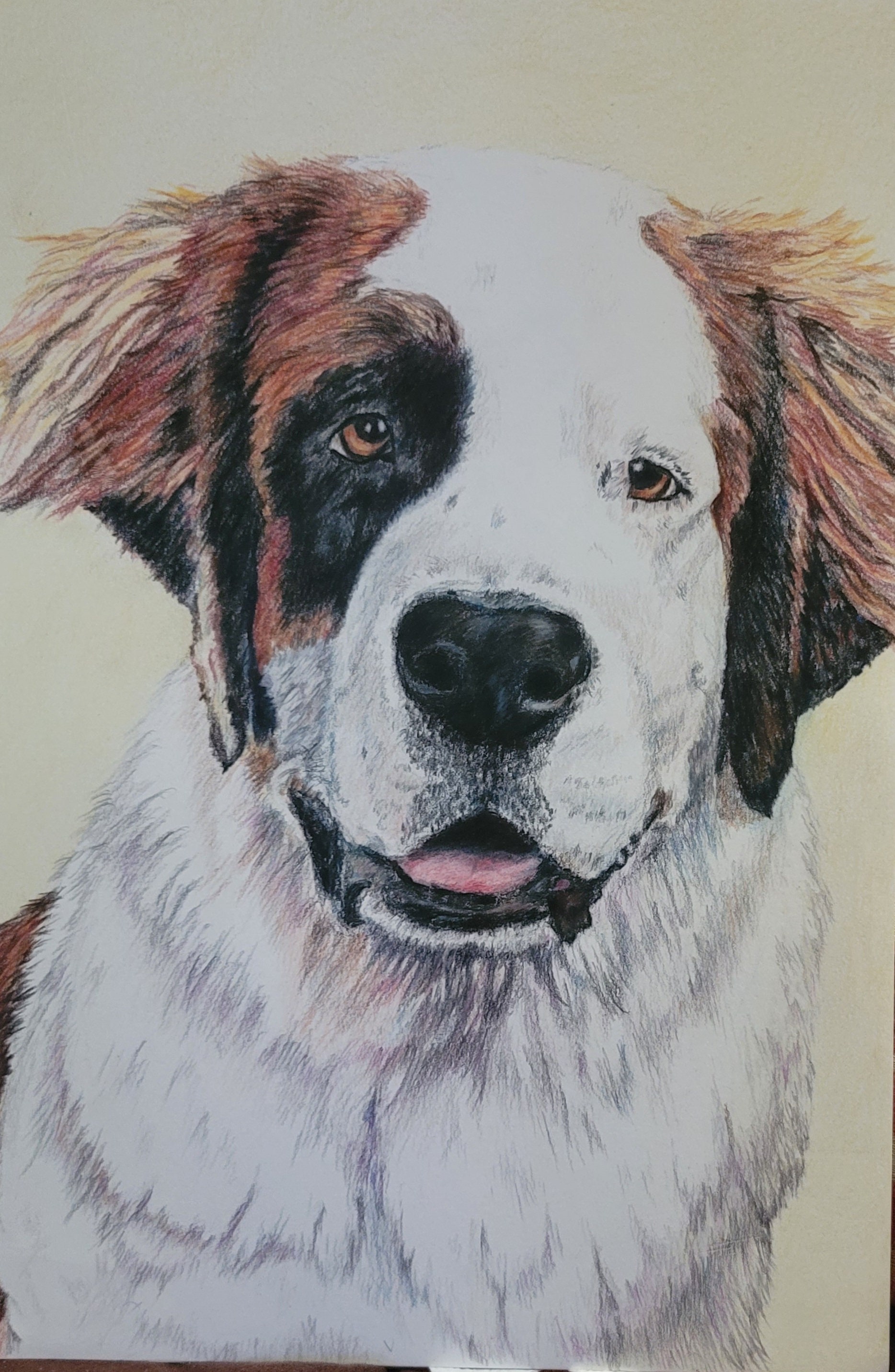 Original Commissioned Color Pencil Animal Portrait - Etsy