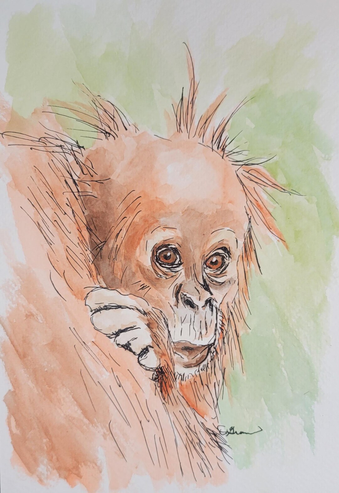 Baby Orangutan, Print of an Original Ink and Watercolor - Etsy