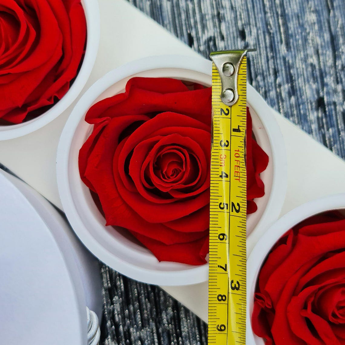 Premium Preserved Roses (6pcs) – XL Vibrant Red Rose Heads, Ecuador, No ...