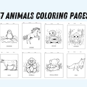 Learning Animals With Coloring, Fun Coloring Book for Kids, Animals ...