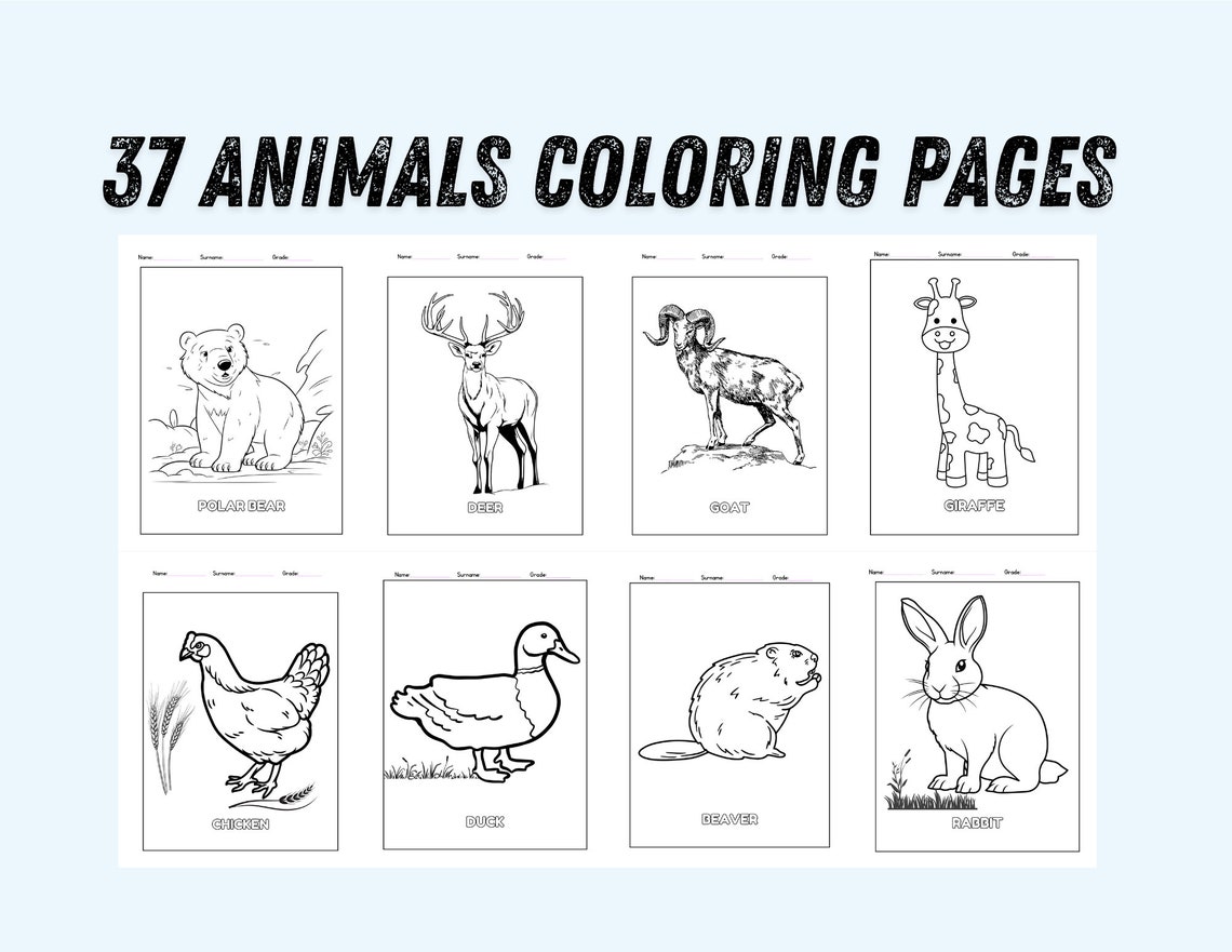 Learning Animals With Coloring, Fun Coloring Book for Kids, Animals ...