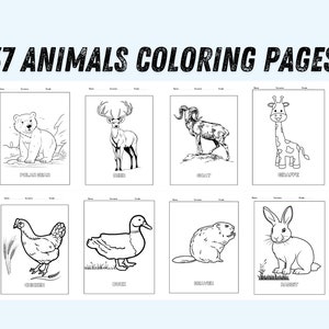 Learning Animals With Coloring, Fun Coloring Book for Kids, Animals ...