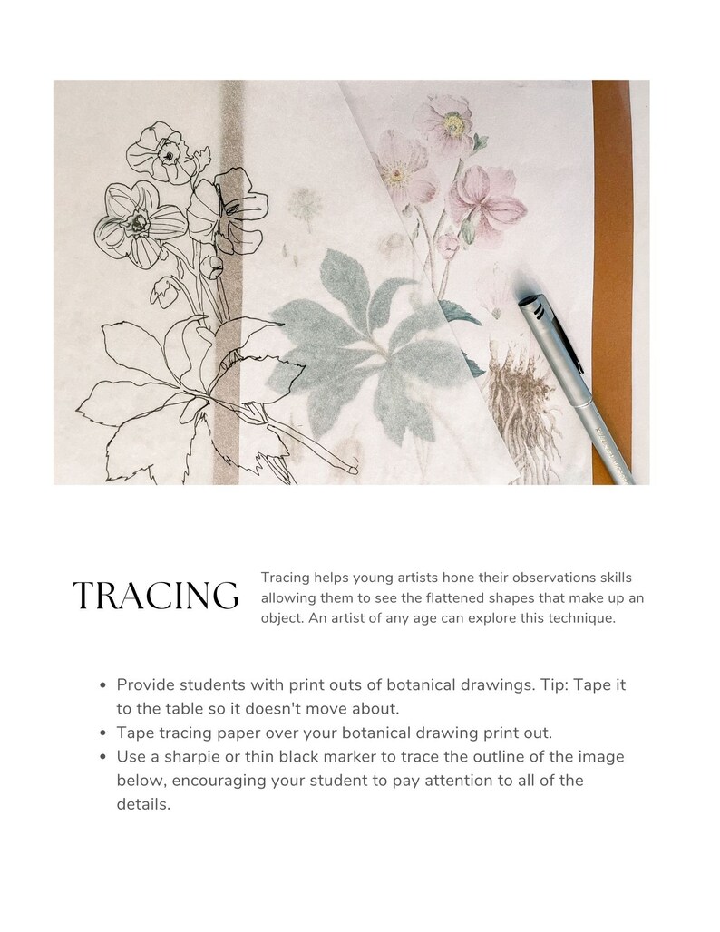 Carl Linnaeus Complete Art Based Unit Study - Etsy