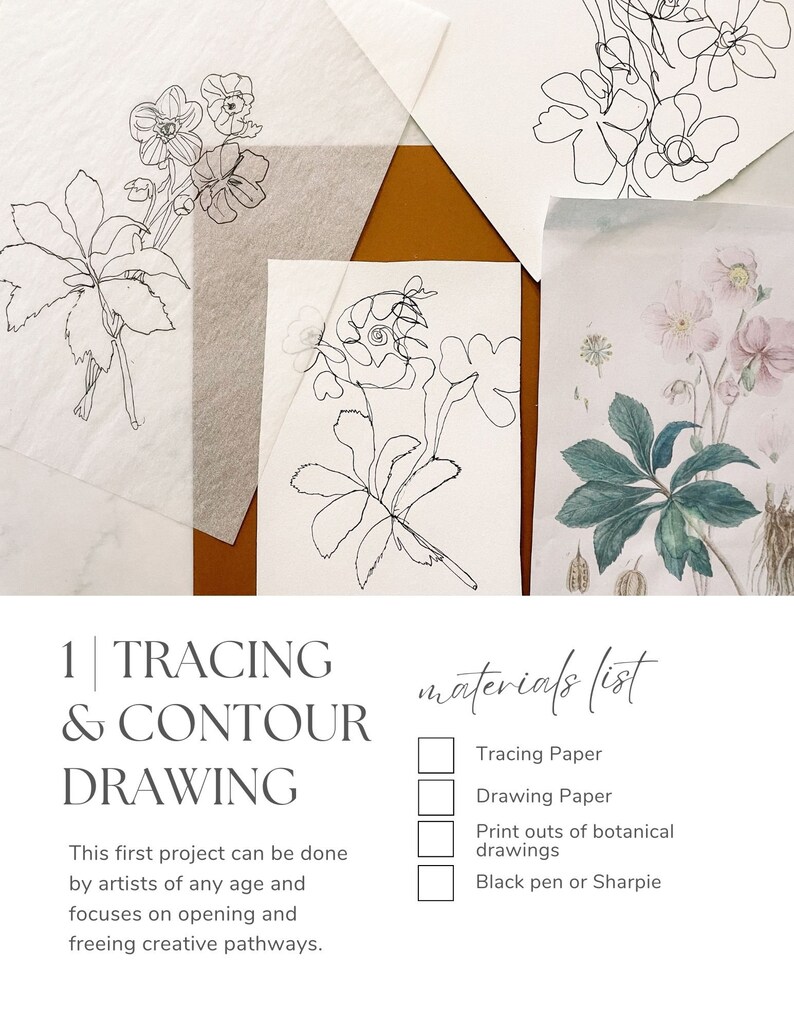 Carl Linnaeus Complete Art Based Unit Study - Etsy