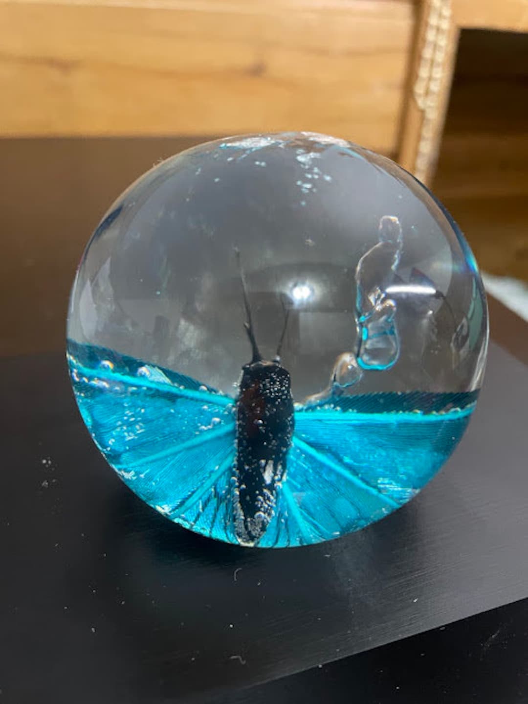Paperweights: Spheres, Butterfly - Etsy