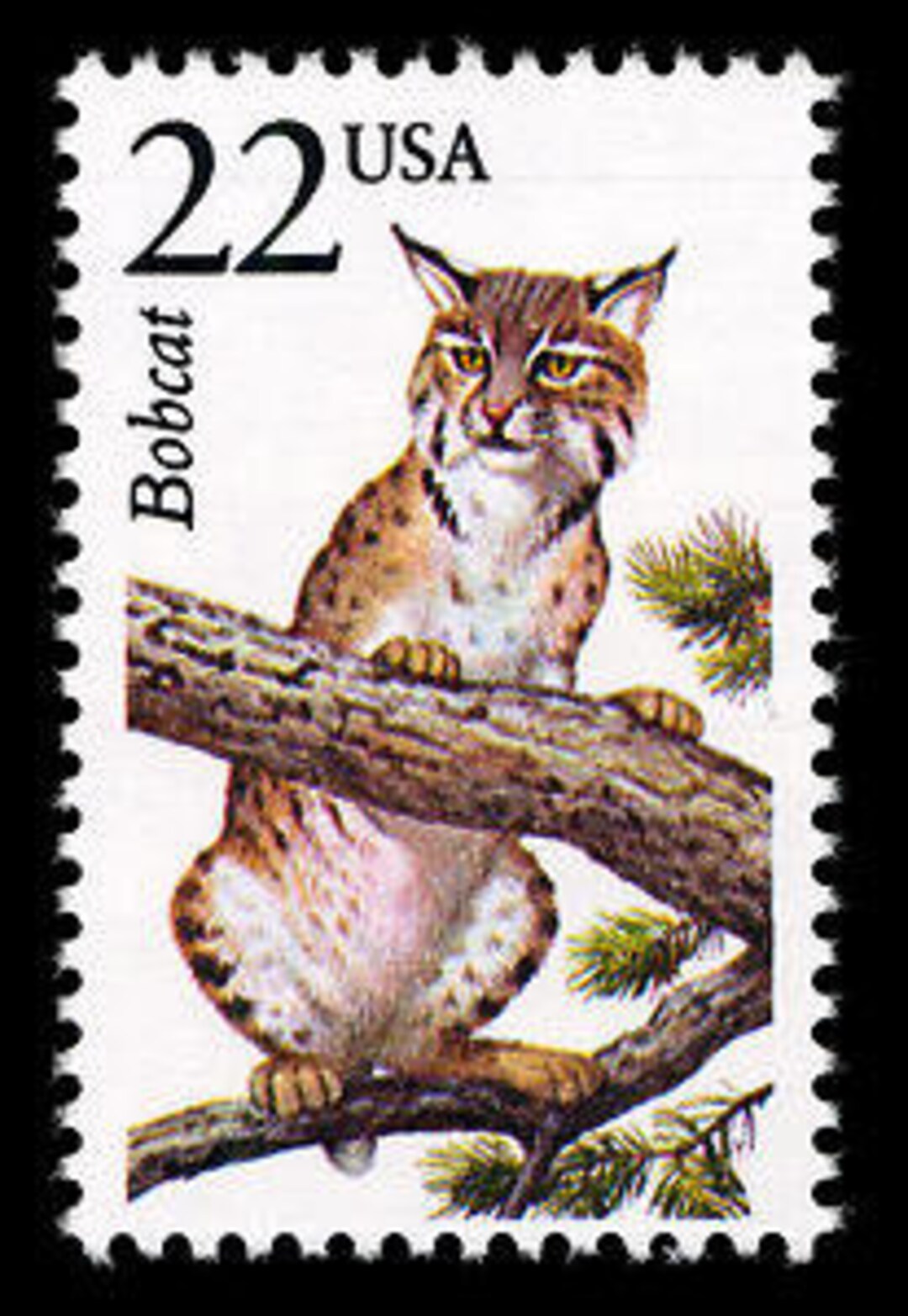 Five 5 Bobcat 22c Stamps // North American Wildlife // Unused Vintage ...