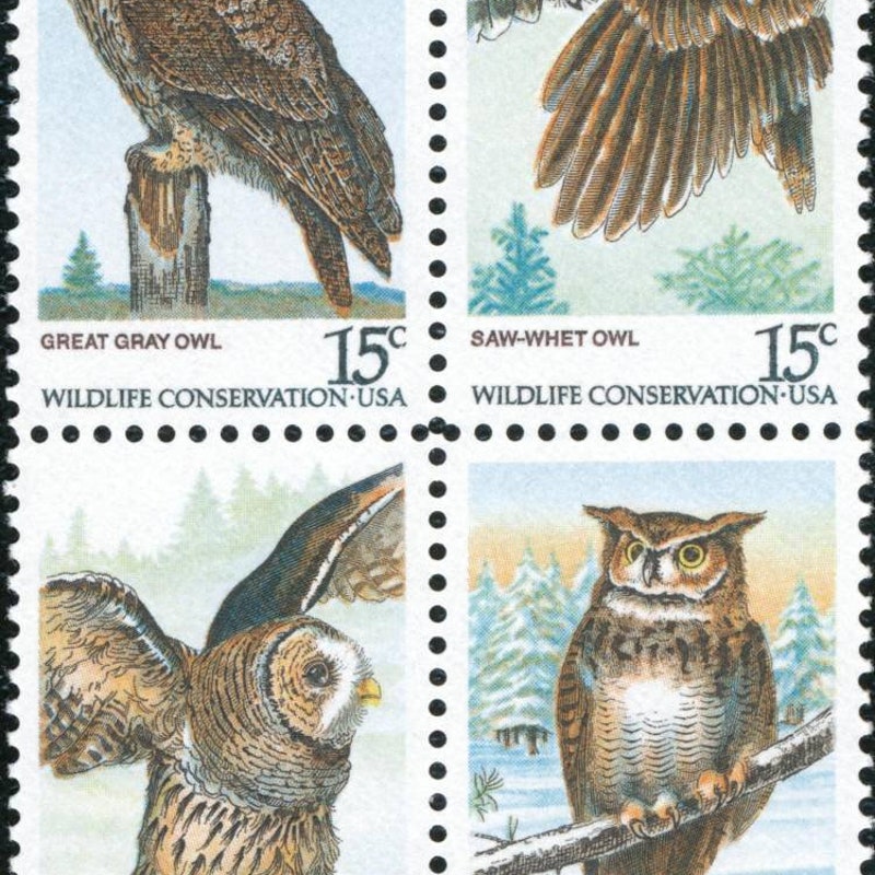 Owl Post Stamp - Etsy