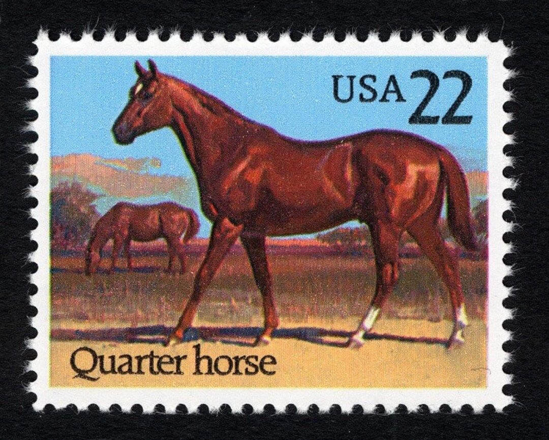 One 1 Horses 22c - Appaloosa, Morgan, Quarter Horse, Saddlebred 22c ...