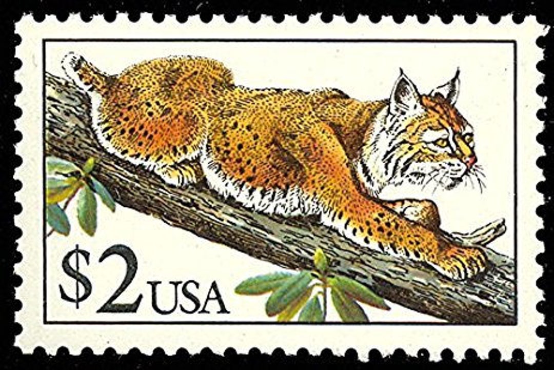 One 1 Bobcat 2 Dollar Stamp // Vintage Unused Postage Stamp // Face 2. ...