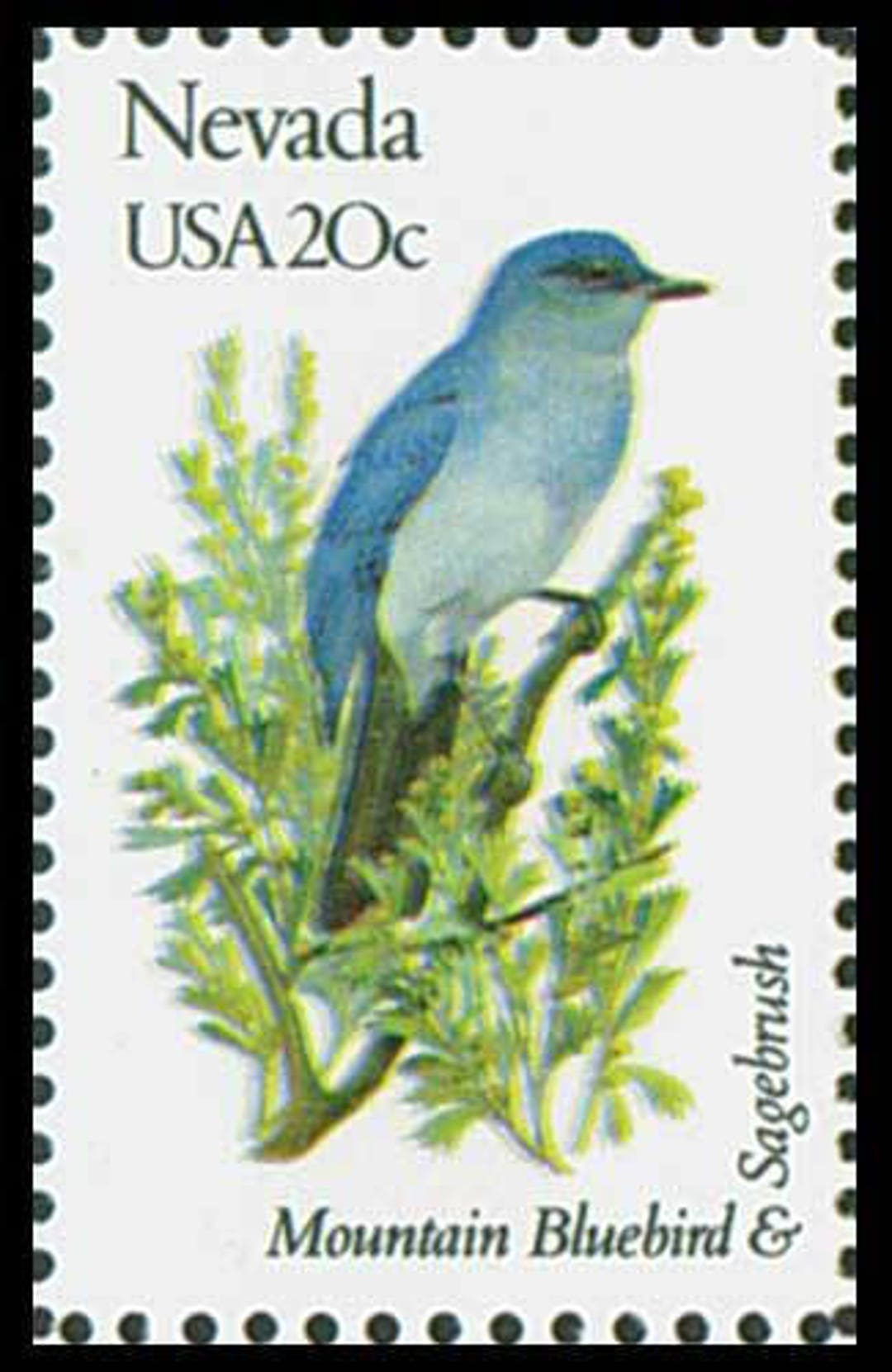 Five 5 Vintage Unused Postage Stamps Nevada State Bird and Flower 20c ...