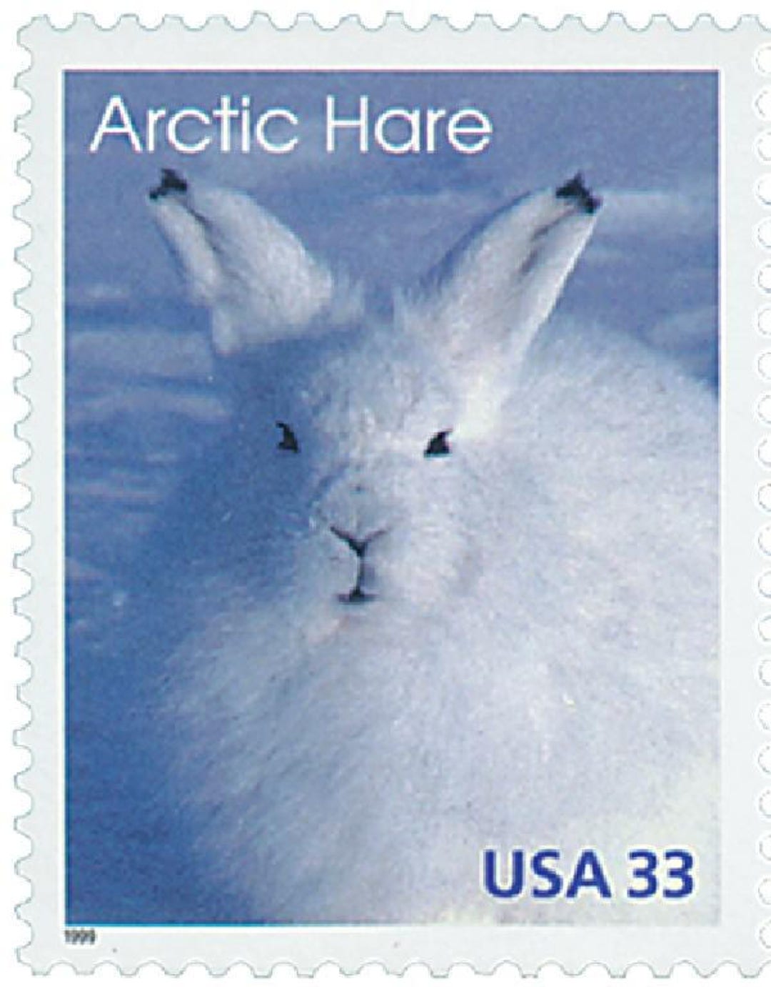 Arctic Hare Postage Stamps: 33 Cent Vintage, Unused (set of 5) - Etsy