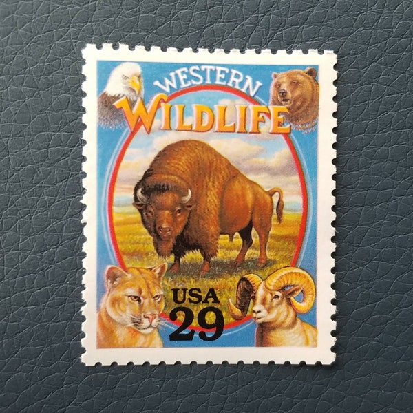 Western Stamp - Etsy