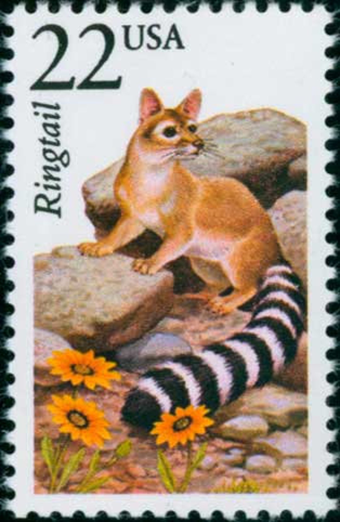 Five 5 Ringtail 22c Stamps // North American Wildlife // Unused Vintage ...
