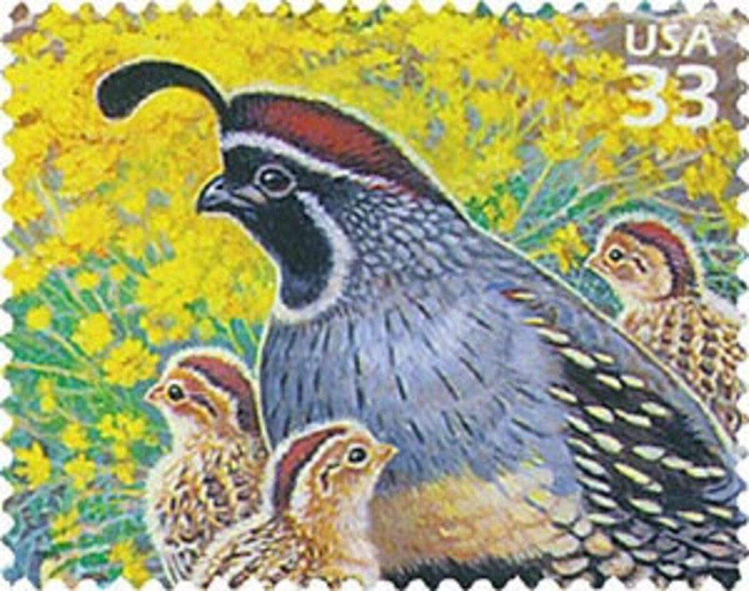 One 1 Gambel's Quail 33c Stamp // Sonoran Desert (1st Nature of America ...
