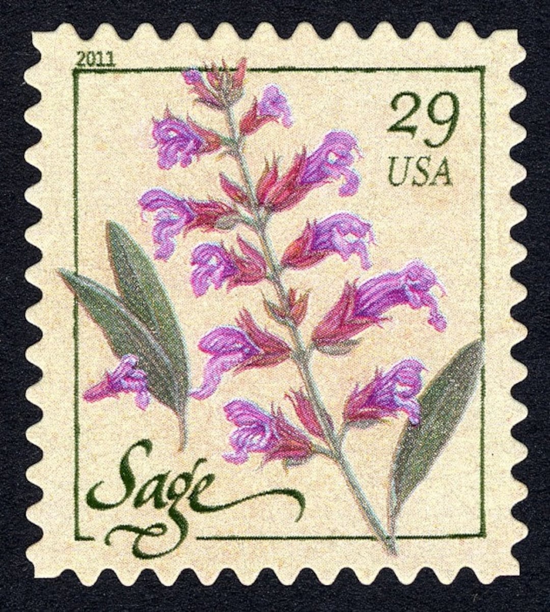 One 1 Vintage Unused Postage Stamps Herbs: Sage 29c // 29 Cent Stamp - Etsy