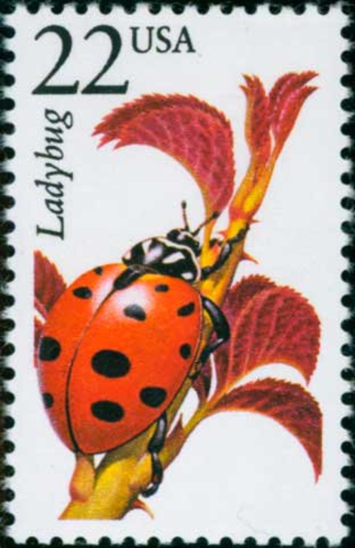Five 5 Ladybug 22c Stamps // North American Wildlife // Unused Vintage ...