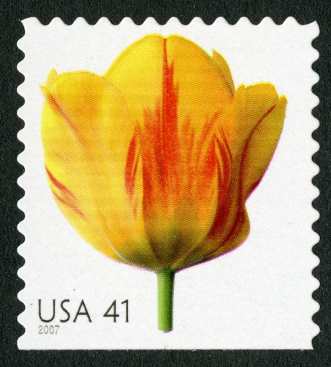 One 1 Unused Postage Stamp Beautiful Blooms: Tulip // 41 Cent Stamps - Etsy
