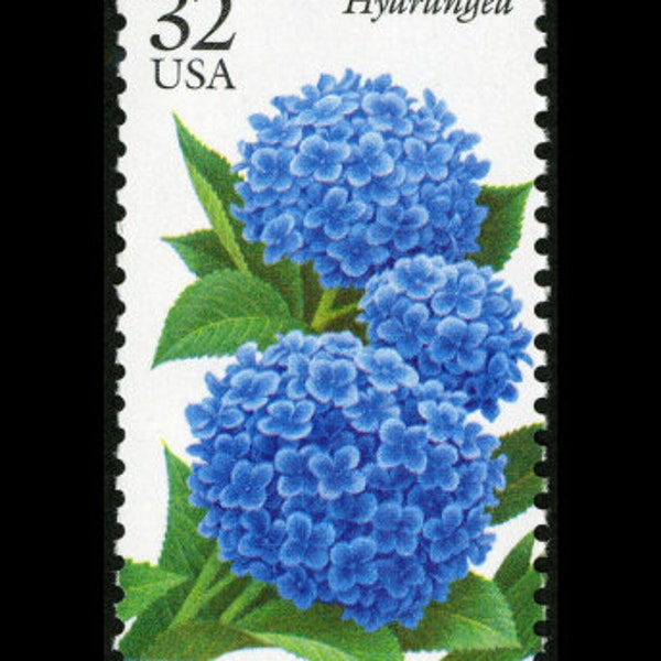 Hydrangea Stamp - Etsy