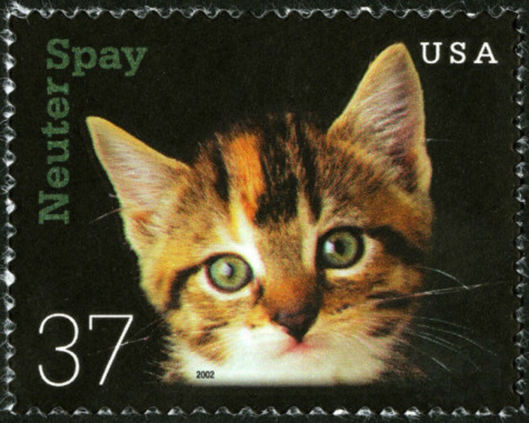 One 1 Kitten - Spay and Neuter 37c Stamp // Unused US Postage Stamp 37 ...