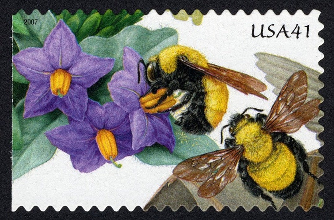Five 5 Unused Postage Stamps - Pollination: Purple Nightshade and ...