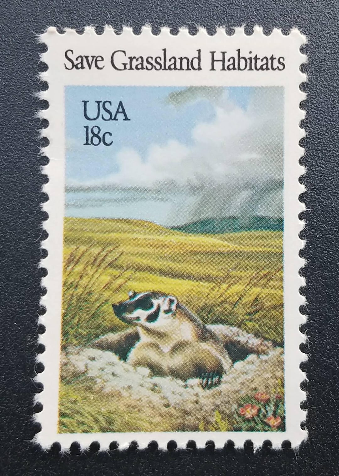 Badger Save Grassland Habitats 18c Stamps - 10 Vintage Unused Postage ...