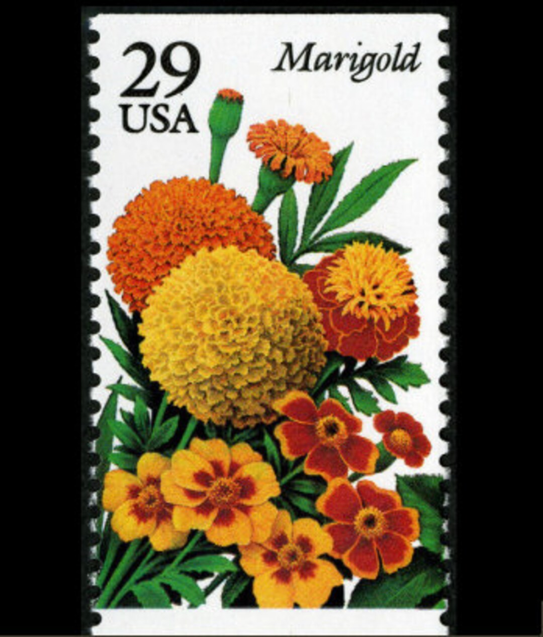 Five 5 Marigold 29c Stamp // Summer Garden Flowers // Vintage Unused ...