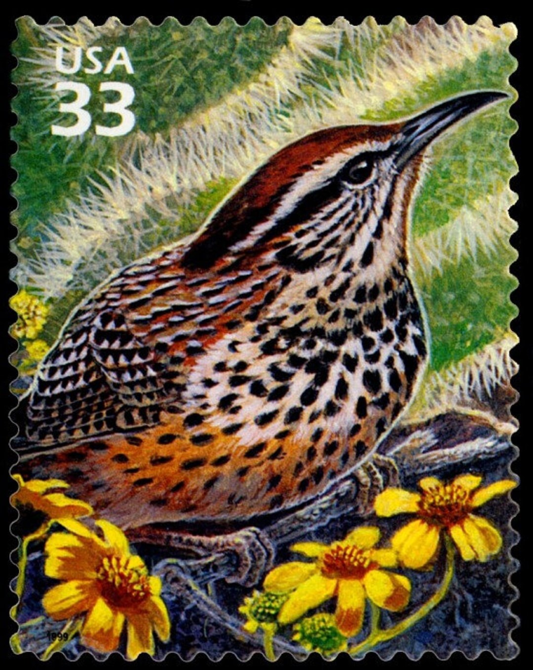 One 1 Cactus Wren 33c Stamp // Sonoran Desert (1st Nature of America ...