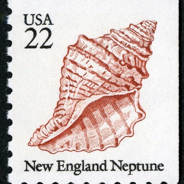 New England Wedding - Etsy