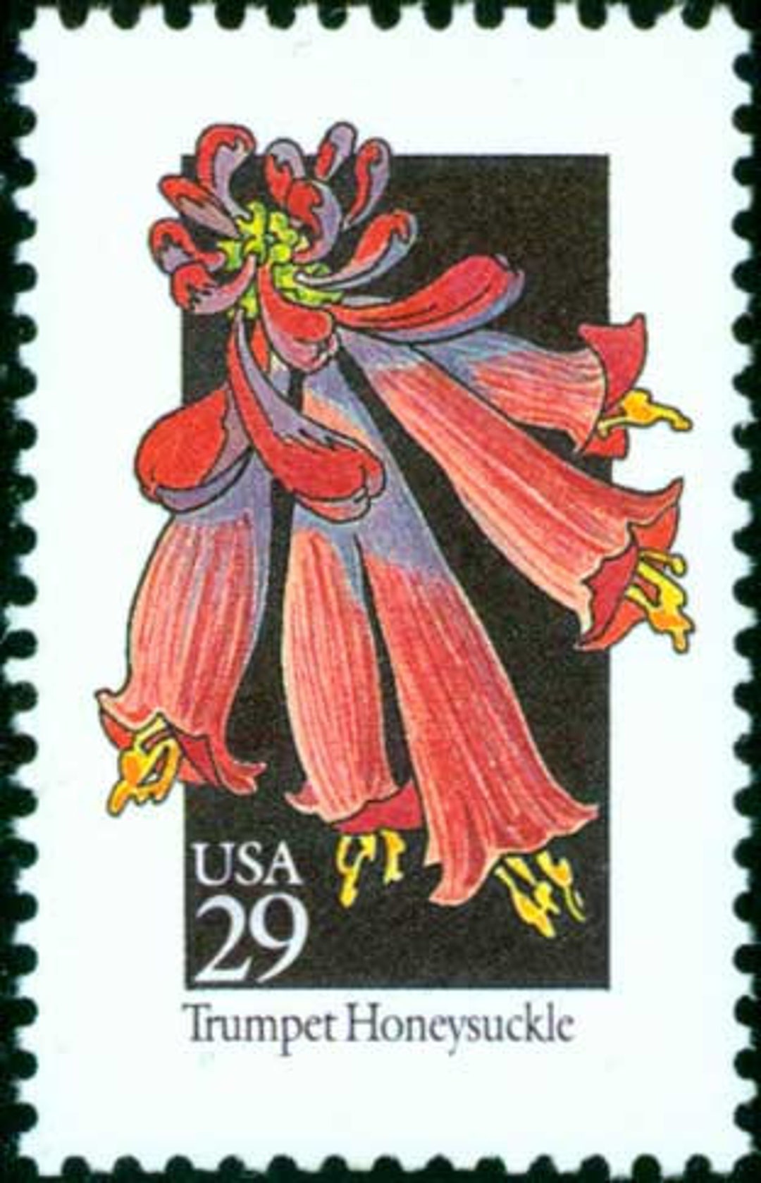 Trumpet Honeysuckle Stamps: 1993 Vintage Unused Postage (5 X 29c) - Etsy