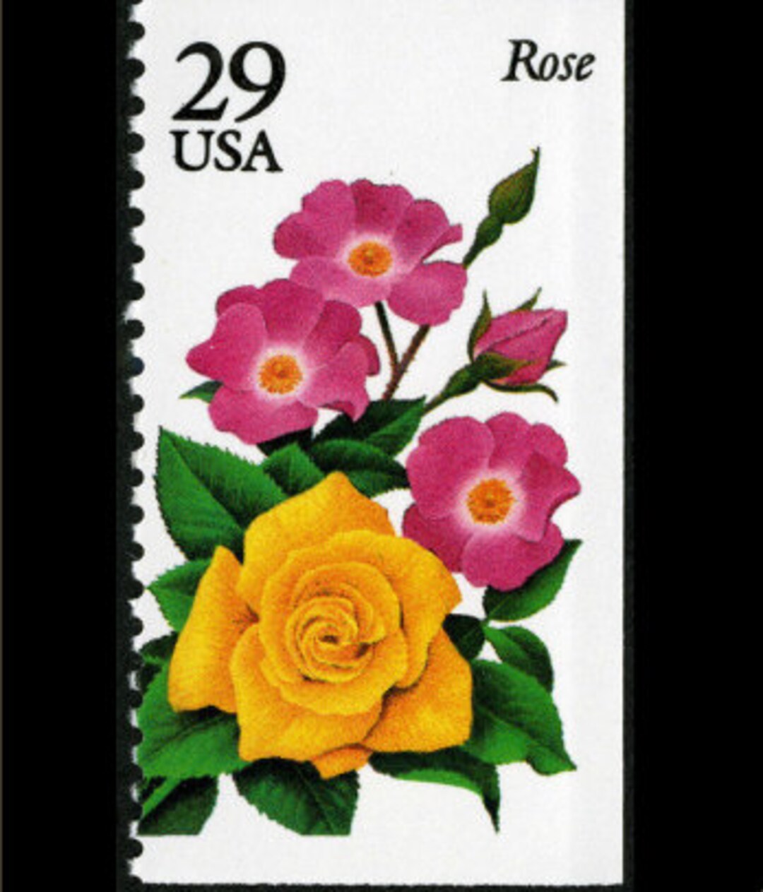 Five 5 Rose 29c Stamp // Summer Garden Flowers // Vintage Unused ...