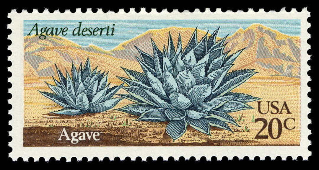 Five 5 Desert Plants: Agave 20c // Vintage Unused Postage Stamps // 20 ...