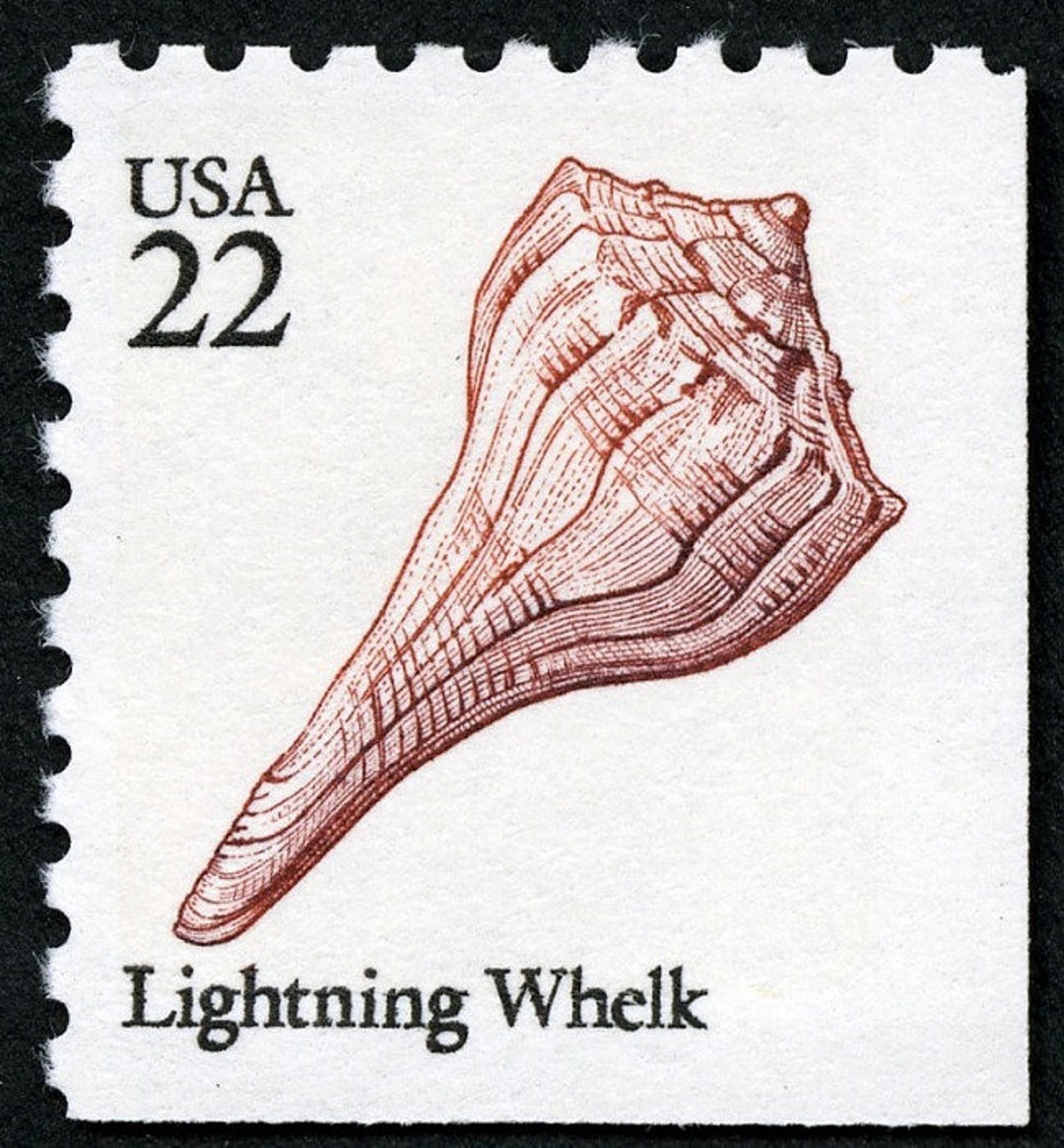 One 1 Lightning Whelk Seashell 22c Stamp // Vintage Seashell Postage ...