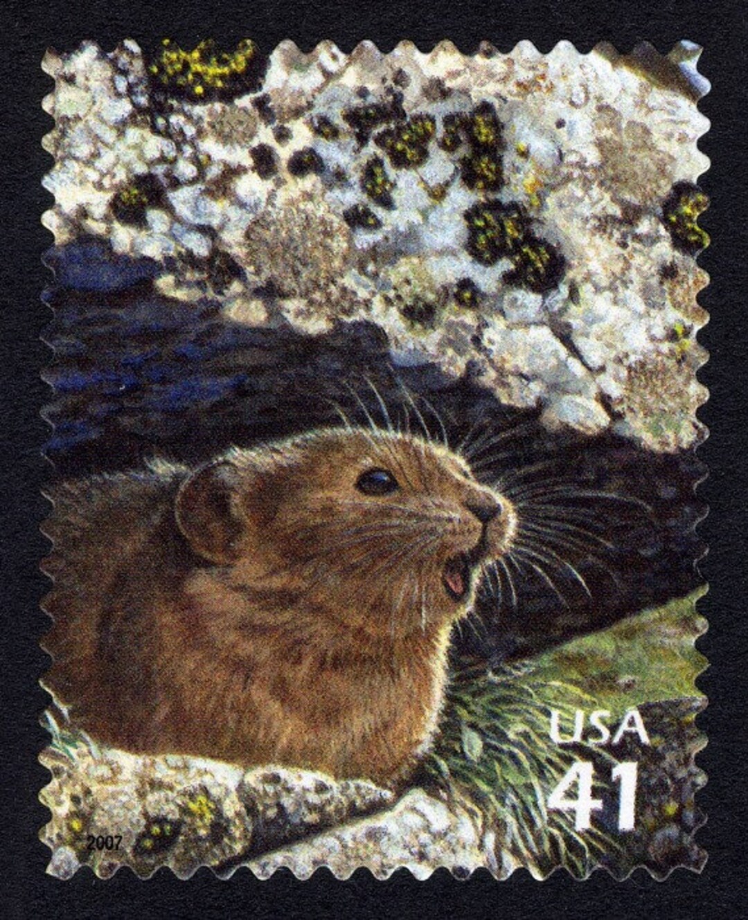 One 1 American Pika 41c // Alpine Tundra 41c (9th Nature of America ...