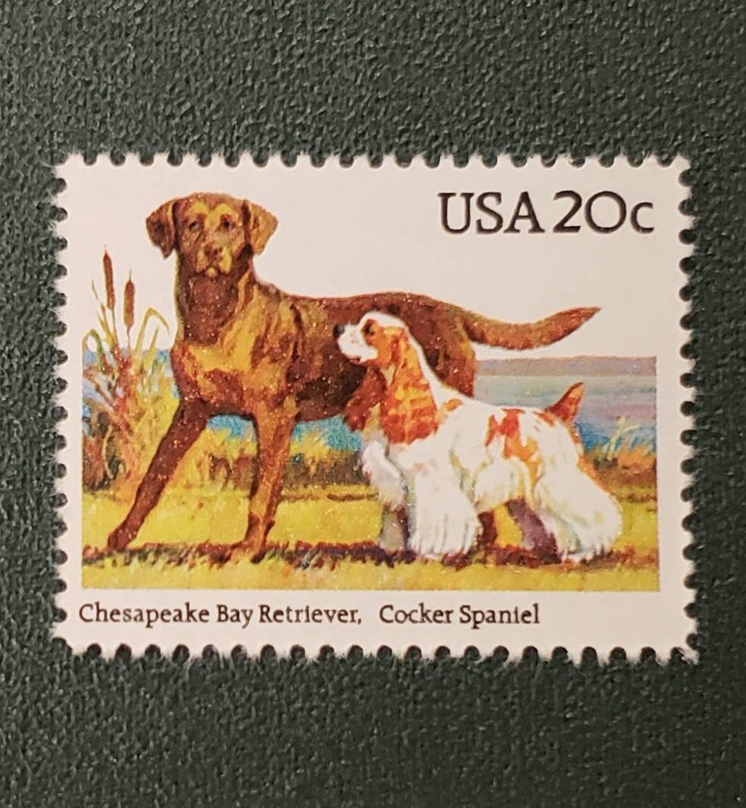 One 1 Vintage Unused Postage Stamps - Dogs: Chesapeake Bay Retriever ...