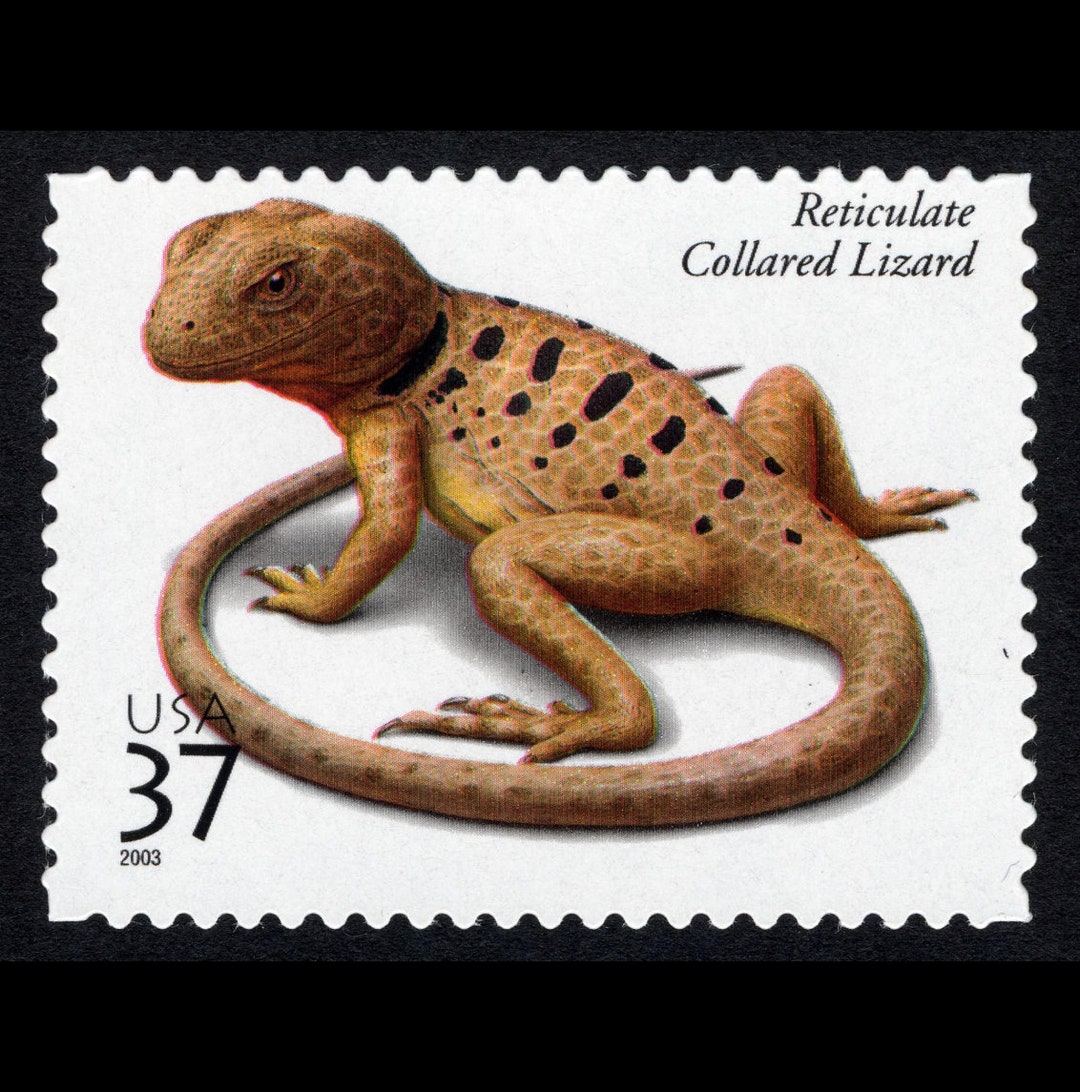 Five 5 Reticulate Collared Lizard 37c Stamps // Unused US Postage ...