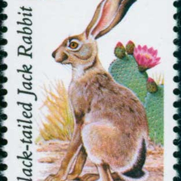 Jack Rabbit - Etsy